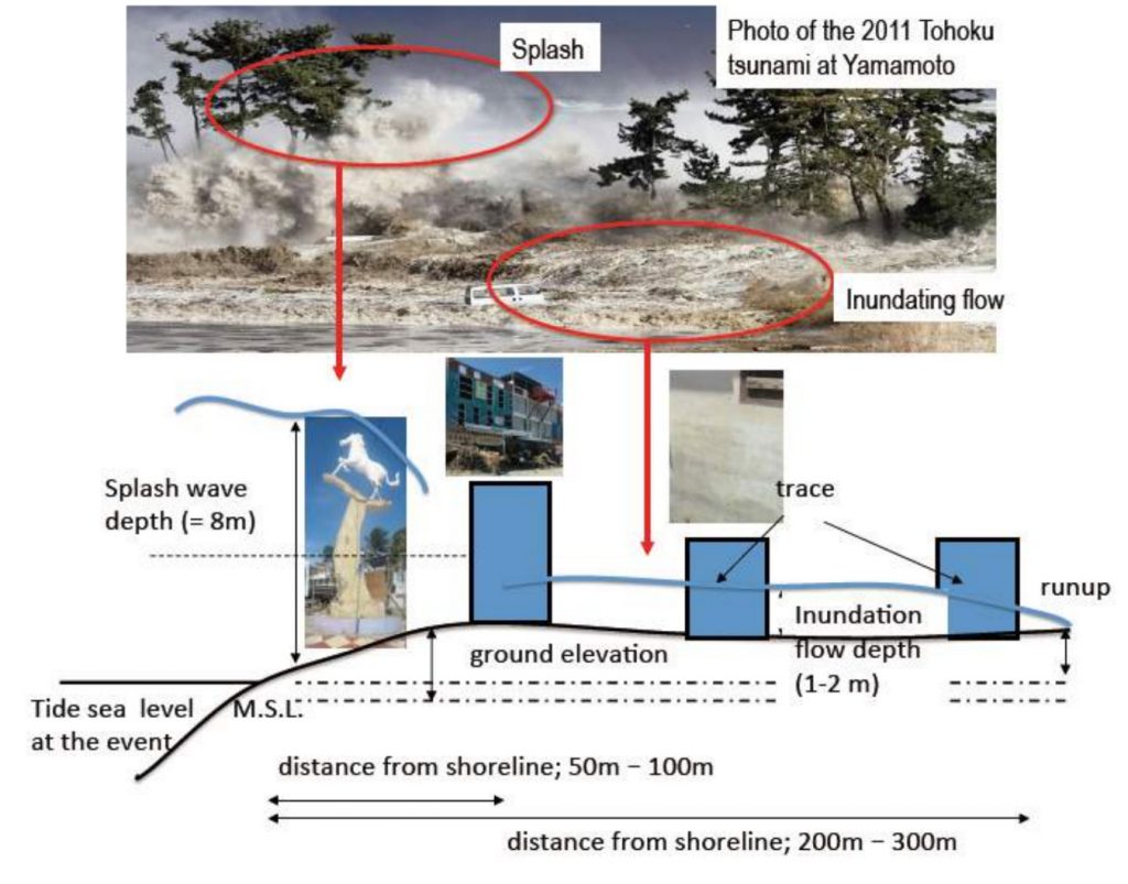 Figure 2 Cross section of the tsunami and topography at the Palu with ...