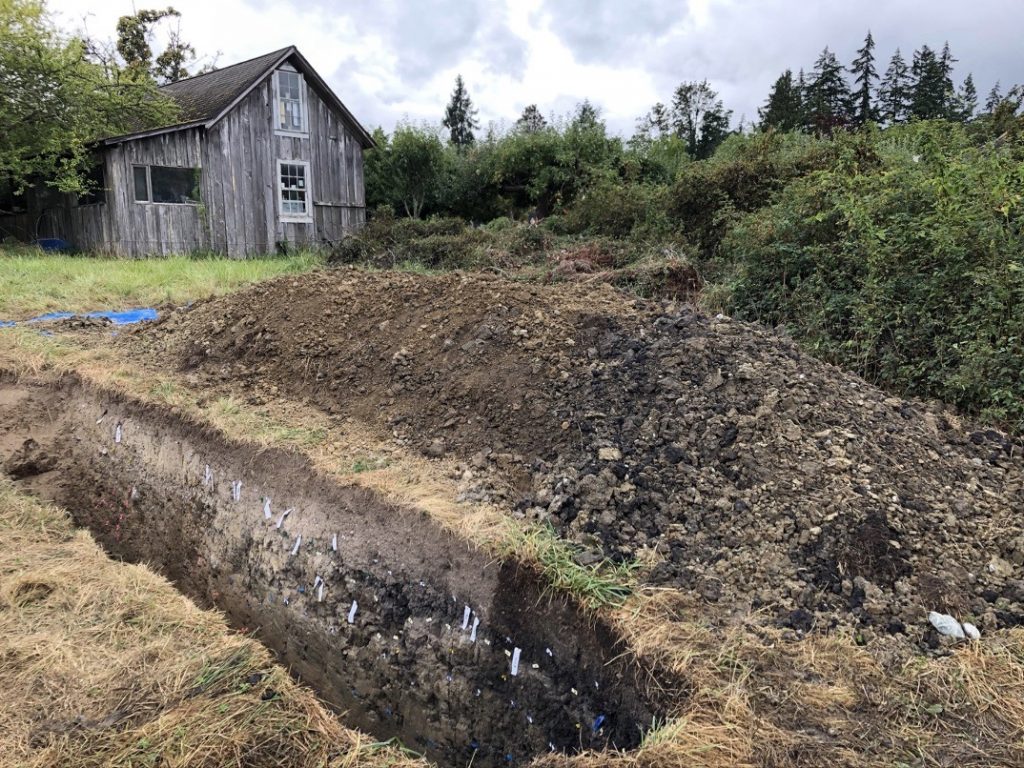 Piecing together the puzzle of the Seattle Fault Zone - Temblor.net