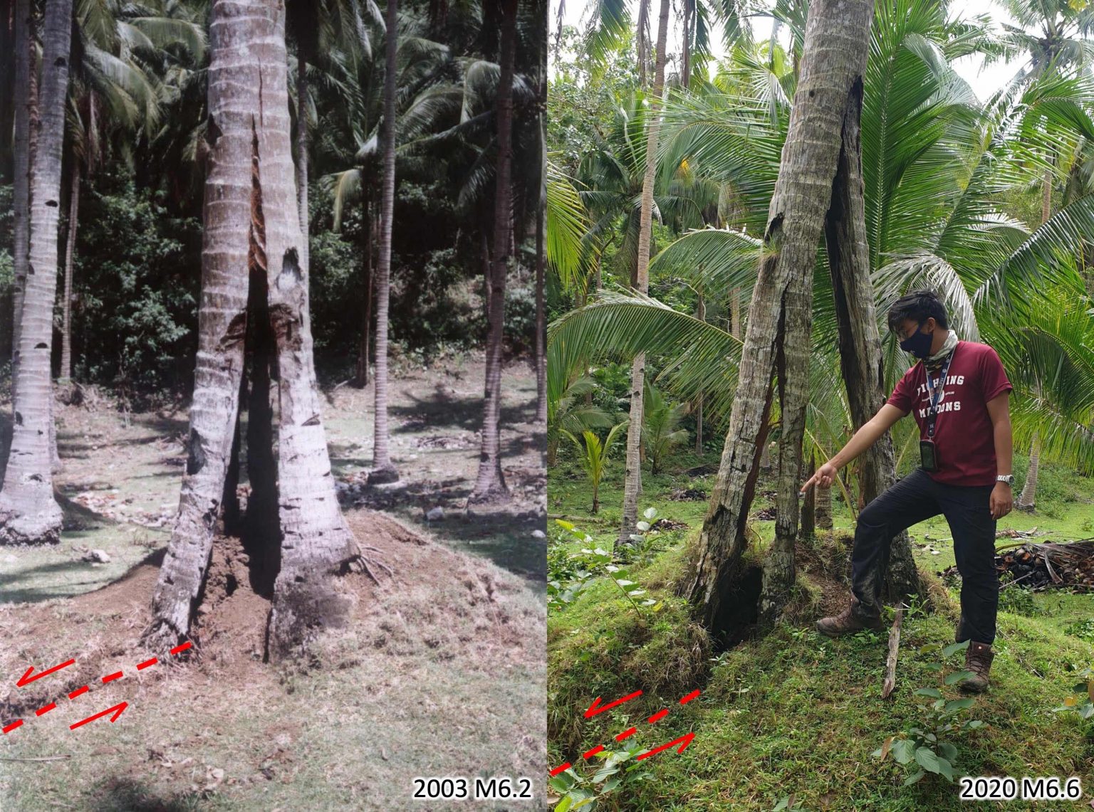 Two strong earthquakes separated by 17 years strike the same fault ...